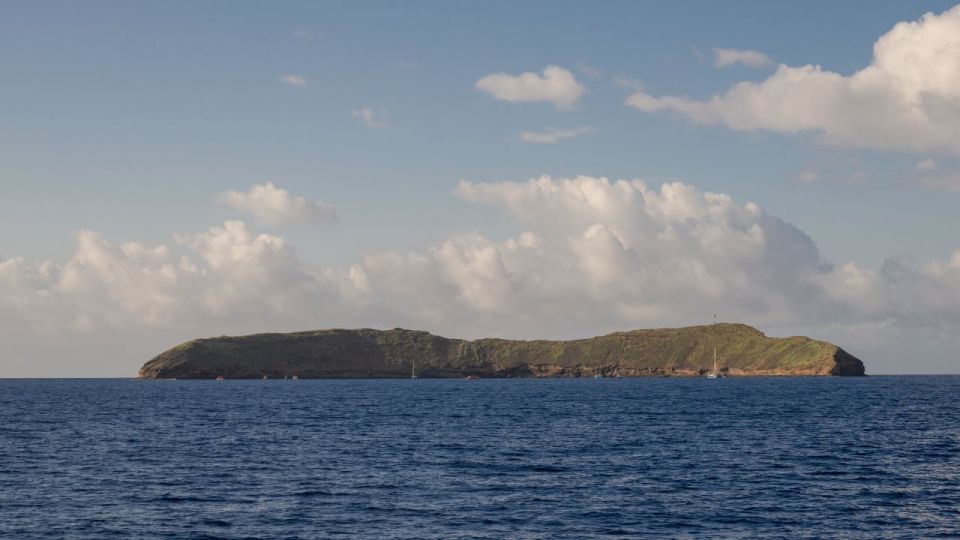 South Maui: Snorkel to Coral Gardens or Molokini Crater - FAQ