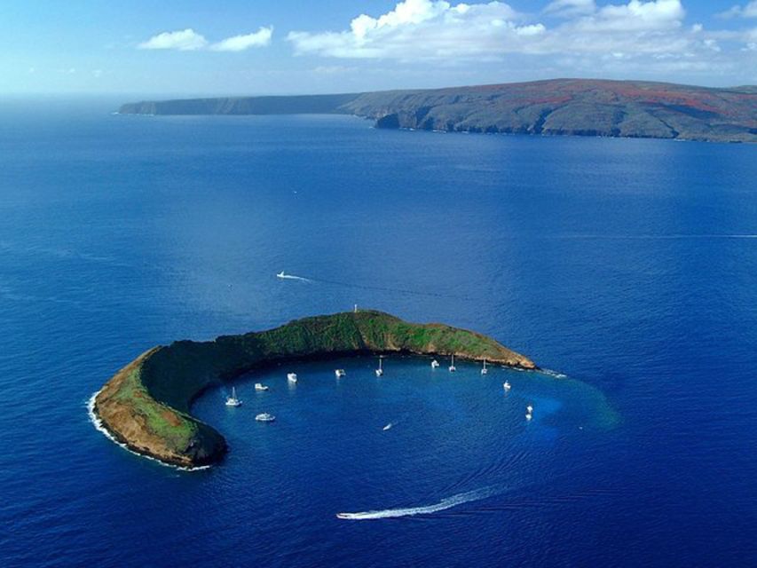 South Maui: Snorkel to Coral Gardens or Molokini Crater - Who Should Book This Tour?
