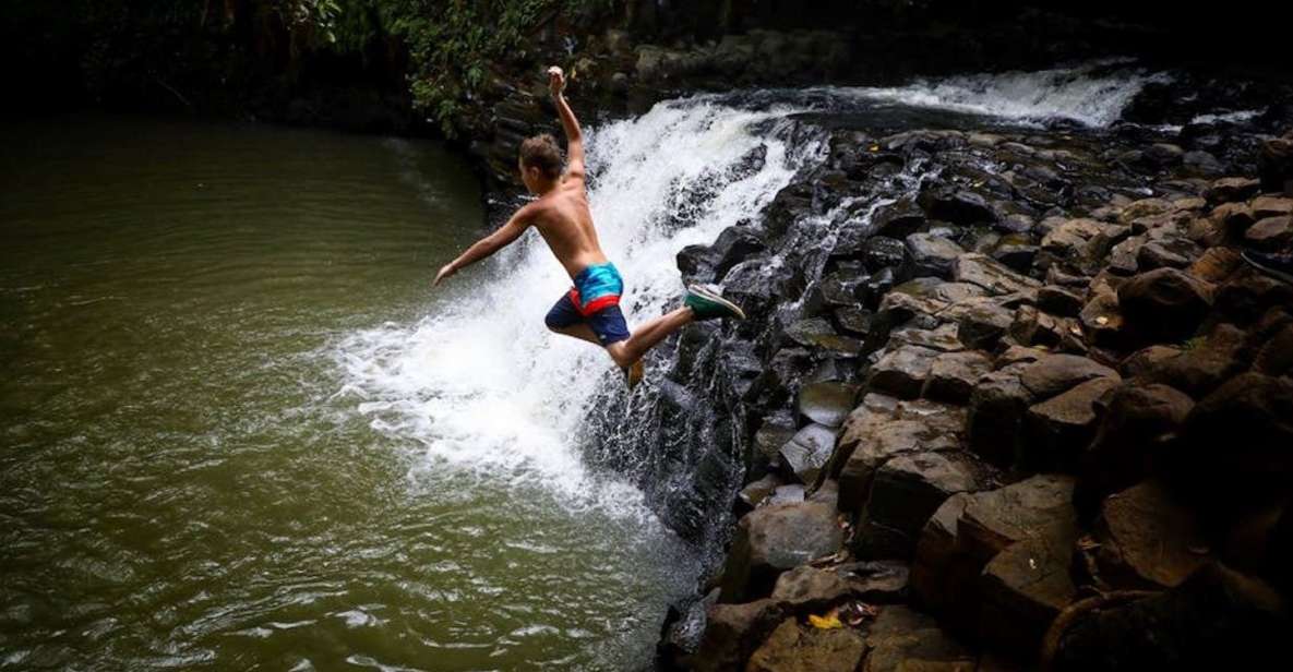 South Maui: Waterfall Tour w/ Kayak, Snorkel, and Hike - Key Points
