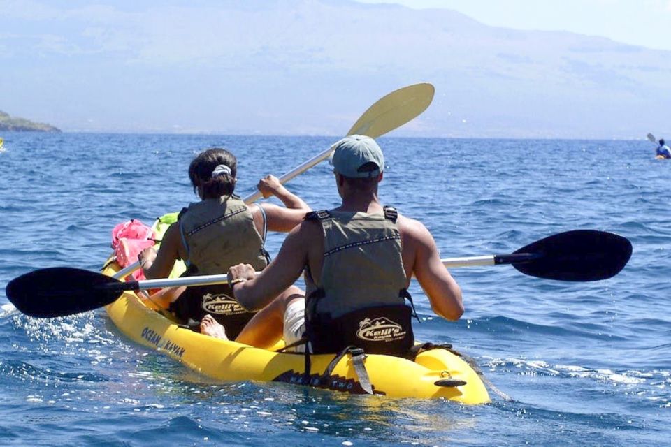 South Maui: Waterfall Tour w/ Kayak, Snorkel, and Hike - An In-Depth Look at What to Expect