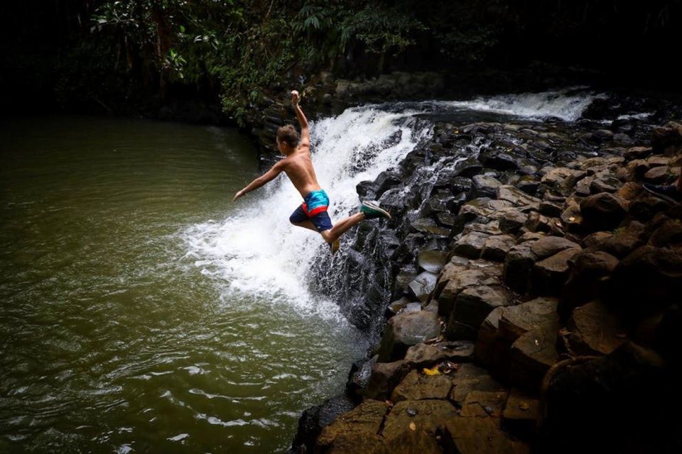 South Maui: Waterfall Tour w/ Kayak, Snorkel, and Hike - What Reviewers Say