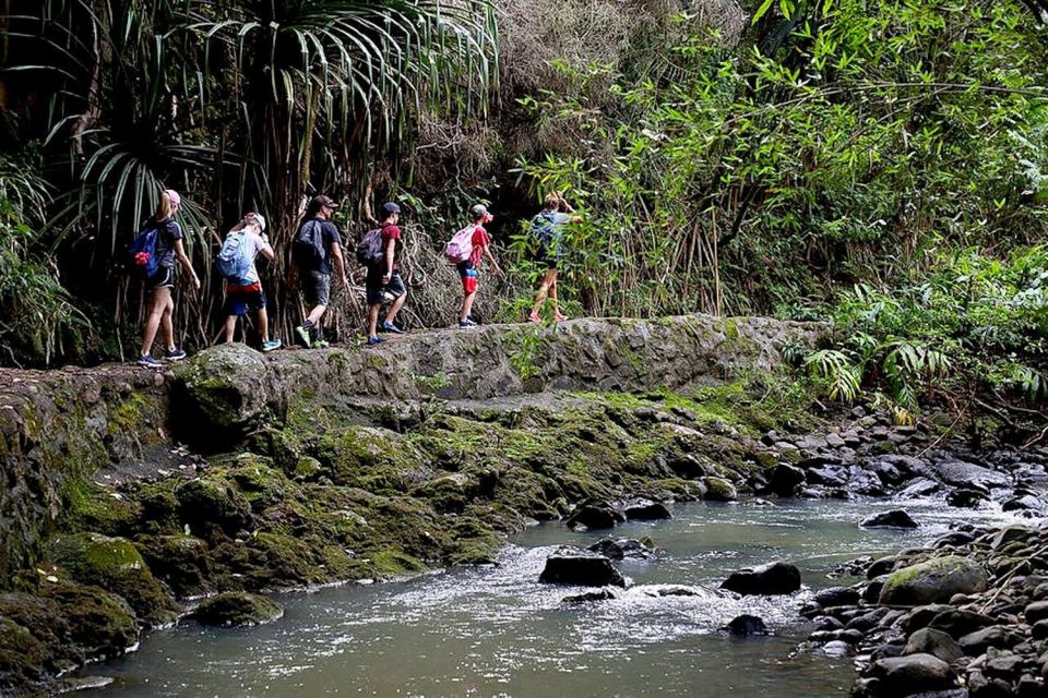 South Maui: Waterfall Tour w/ Kayak, Snorkel, and Hike - The Practical Side: Cost, Duration, and What’s Included