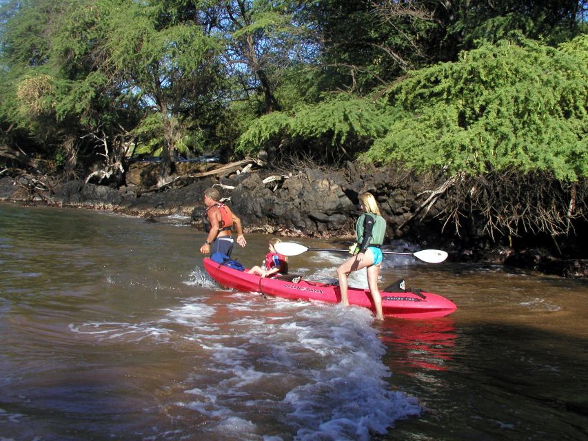 South Maui: Whale Watch Kayaking and Snorkel Tour in Kihei - Who Would Love This Tour?