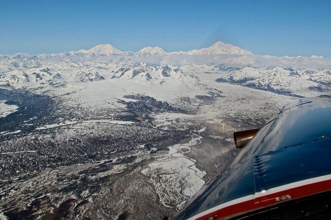 South Side Explorer with Glacier Landing - Why This Tour Stands Out