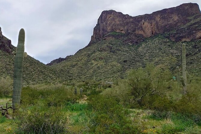 Southern Arizona Full-Day Historical Tour from Phoenix - Private Tour - Final Thoughts: Who Will Love This Tour?