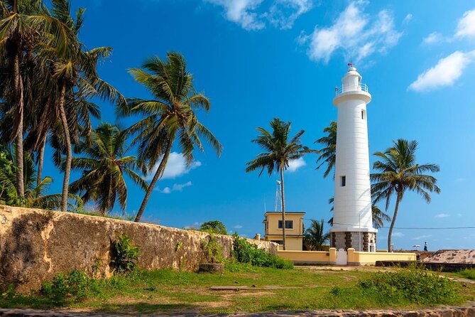Southern Sri Lanka Sightseeing Day Trip From Colombo & Negombo - Key Points