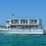 Southern Star Dolphin Cruise in Destin - Final Thoughts: Is the Southern Star Dolphin Cruise Right for You?