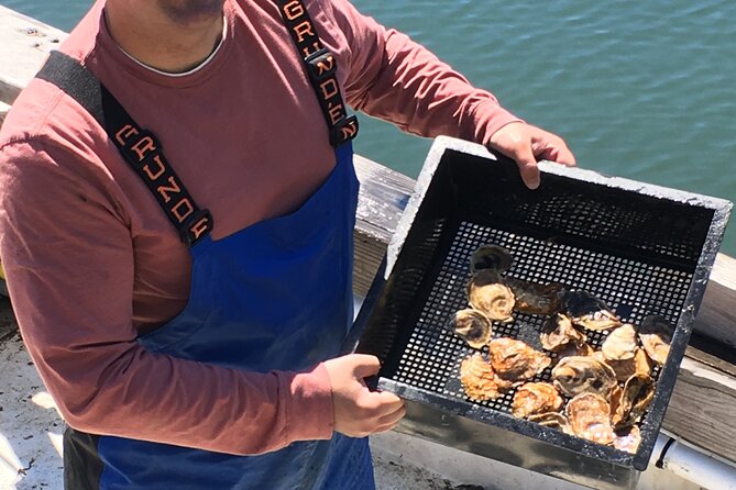 Southold Bay Oyster Farm Tour - A Closer Look at the Tour Experience  