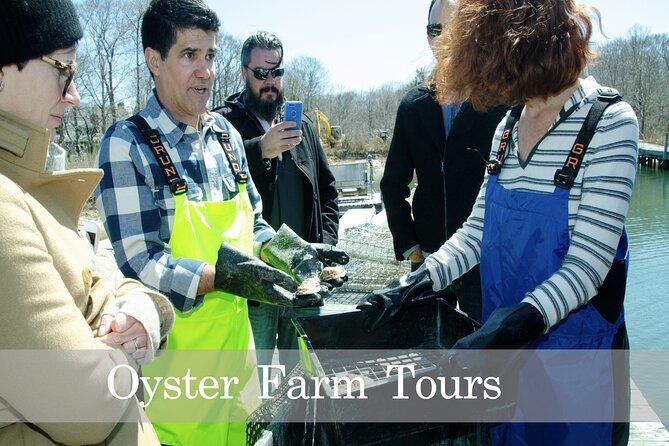 Southold Bay Oyster Farm Tour - Why Youll Love the Food & Drink