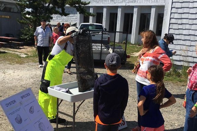 Southold Bay Oyster Farm Tour - FAQ  