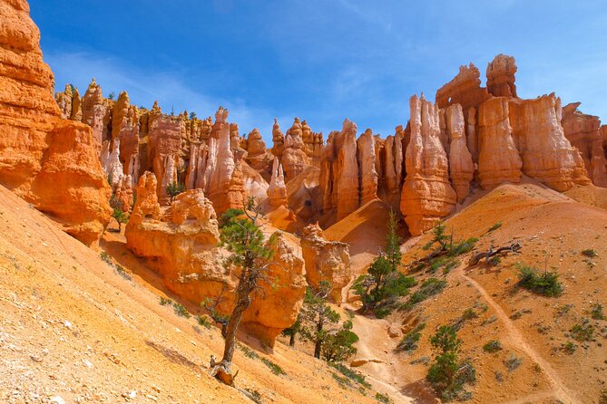 Southwest Giant Ring W/National Parks 4-Day Tour from Las Vegas - Transportation, Comfort, and Group Dynamics