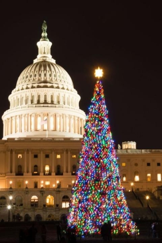 Special Christmas tour in Washington - The Itinerary in Detail
