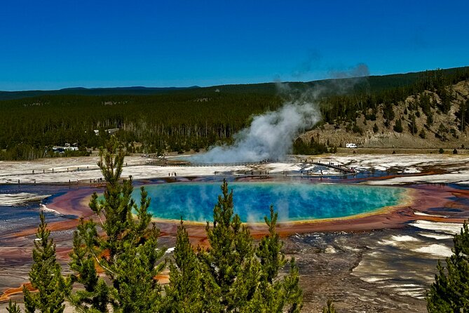 *Special* Seniors Yellowstone Lower Loop From West Yellowstone - In-Depth Look at the Itinerary