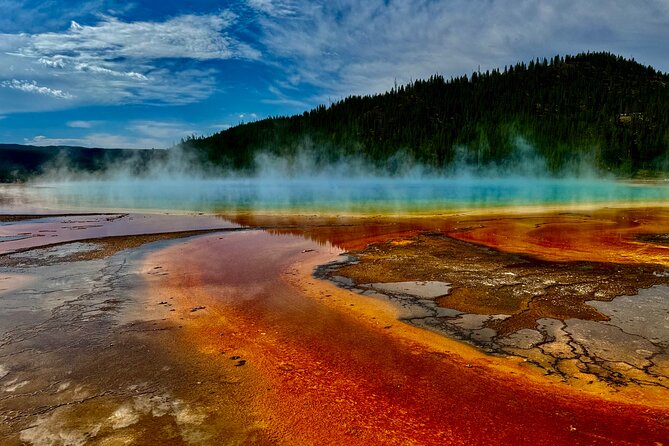 *Special* Seniors Yellowstone Lower Loop From West Yellowstone - Final Words