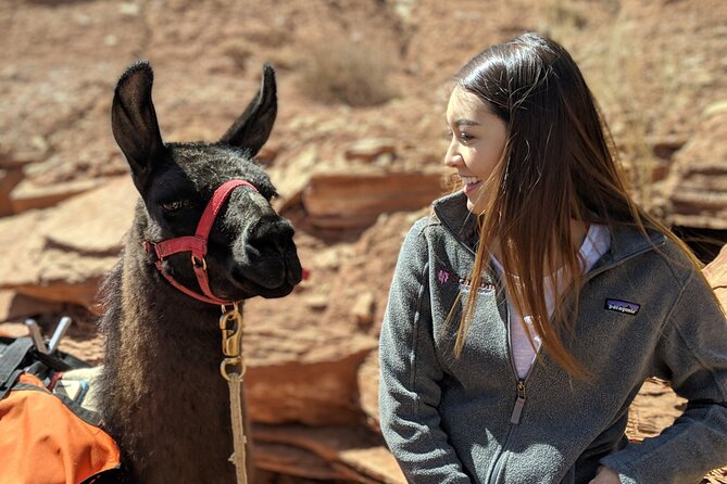 Spectacular 8-Hour Guided Llama Hike with Lunch and Dinner - Discover a Unique Utah Adventure: The Spectacular 8-Hour Guided Llama Hike with Lunch and Dinner