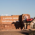 Spectacular 8-Hour Guided Llama Hike with Lunch and Dinner - Pricing and Overall Value