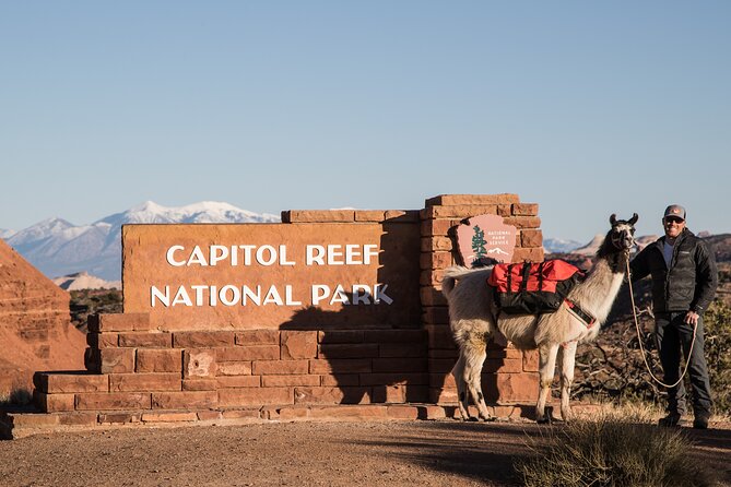 Spectacular 8-Hour Guided Llama Hike with Lunch and Dinner - Pricing and Overall Value