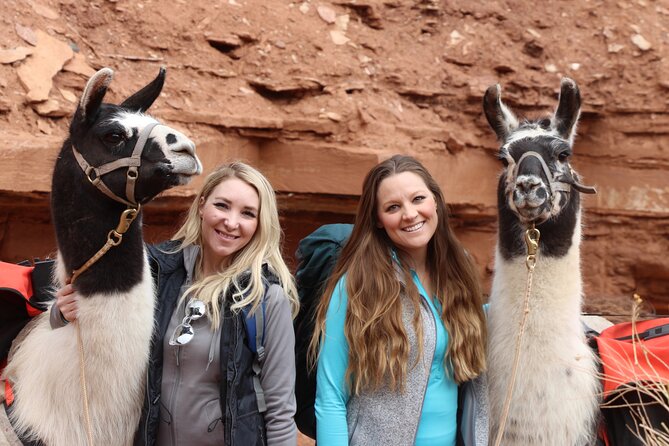 Spectacular 8-Hour Guided Llama Hike with Lunch and Dinner - Final Thoughts