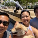 Spectacular Stowe Scavenger Hunt - An In-Depth Look at the Spectacular Stowe Scavenger Hunt