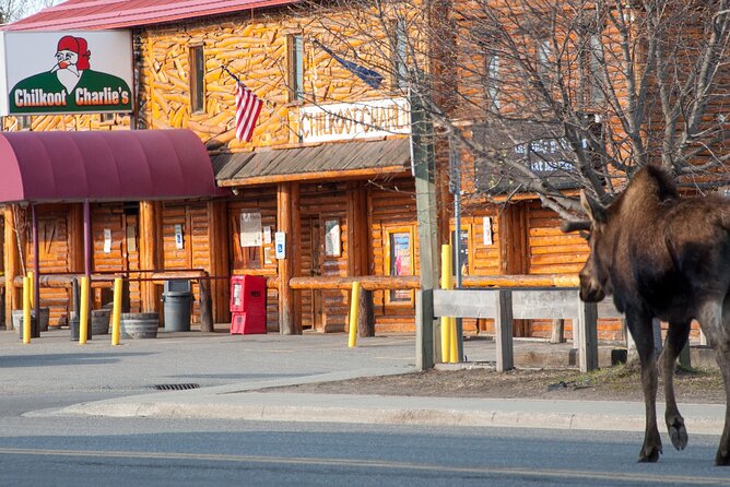 Spenard Neighborhood FOOD & TRUE CRIME Walking Tour - Pricing & Value