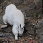 Spirit of the West: Devils Tower, Spearfish Canyon & Deadwood - Final Thoughts