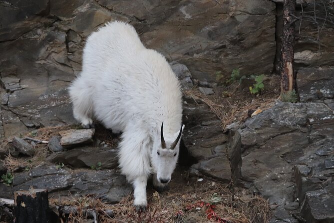 Spirit of the West: Devils Tower, Spearfish Canyon & Deadwood - Final Thoughts