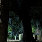 Spirit Xperience: Paranormal Walking Ghost Tour in Savannah - The Practical Side: What You Need to Know
