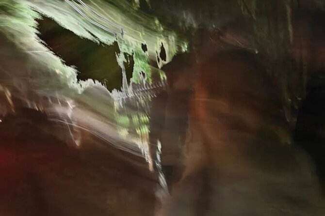 Spooky Savannah Ghost Coach - The Itinerary in Detail: What to Expect