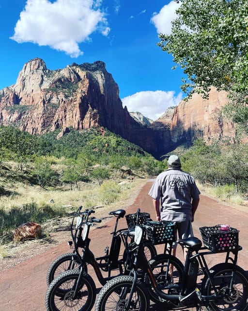 Springdale: Guided eBike Tour in Zion National Park - Key Points
