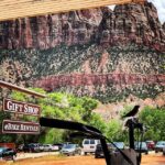 Springdale: Guided eBike Tour in Zion National Park - Authentic Insights from Reviews