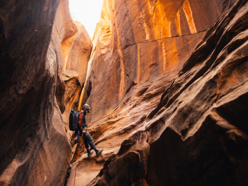 Springdale: Half-Day Canyoneering Experience - The Scenic and Practical Aspects