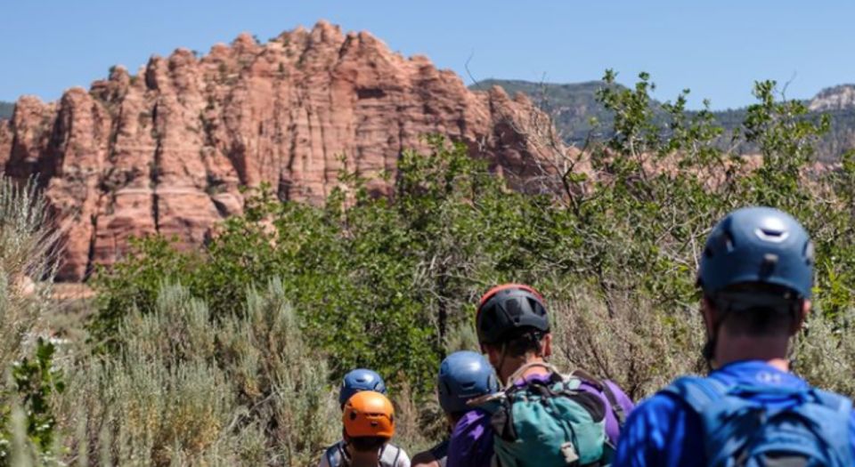 Springdale: Half-Day Canyoneering Experience - Why This Tour Works Well
