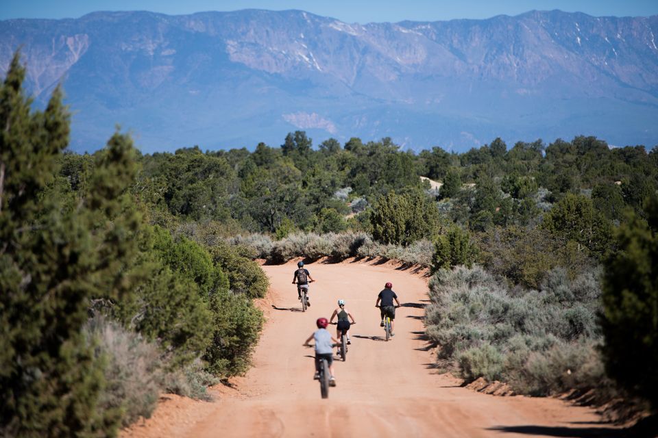Springdale: Half-Day Mountain Biking Adventure - Authentic Experiences from Reviewers