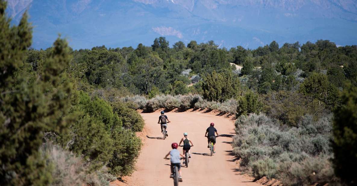 Springdale: Half-Day Mountain Biking Adventure - What’s Included and What You Need to Bring
