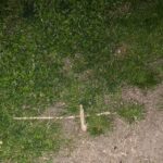 St. Augustine: Devil's Hour Paranormal Investigation Tour - What You Can Expect During the Tour
