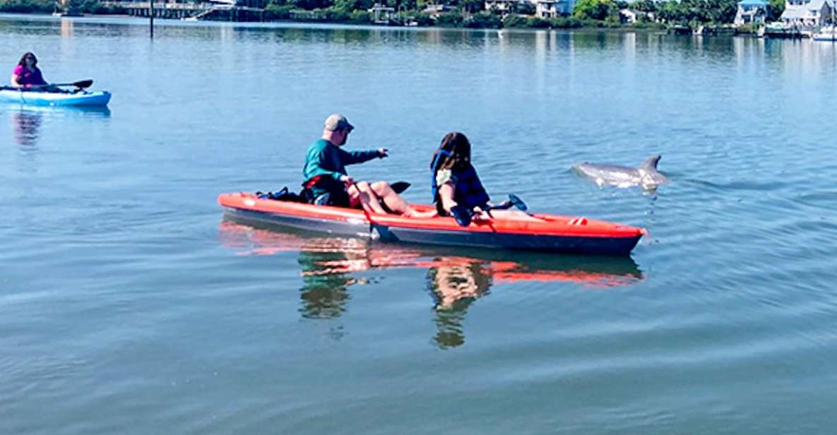 St. Augustine: Dolphin and Manatee Paddle or Kayak Tour - What to Expect from the Experience