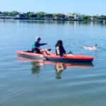 St. Augustine: Dolphin and Manatee Paddle or Kayak Tour - The Itinerary in Detail