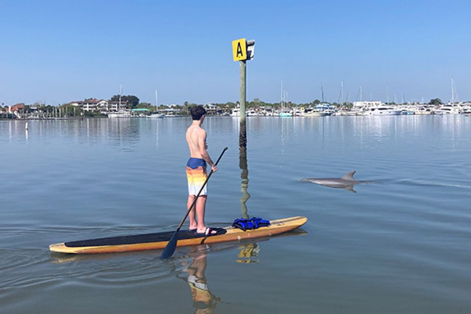 St. Augustine: Dolphin and Manatee Paddle or Kayak Tour - Frequently Asked Questions