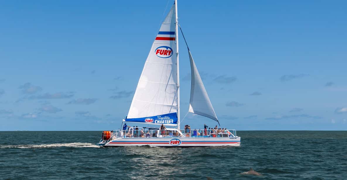 St. Augustine: Dolphin Watching Harbor Tour with Drinks - The Experience in Detail