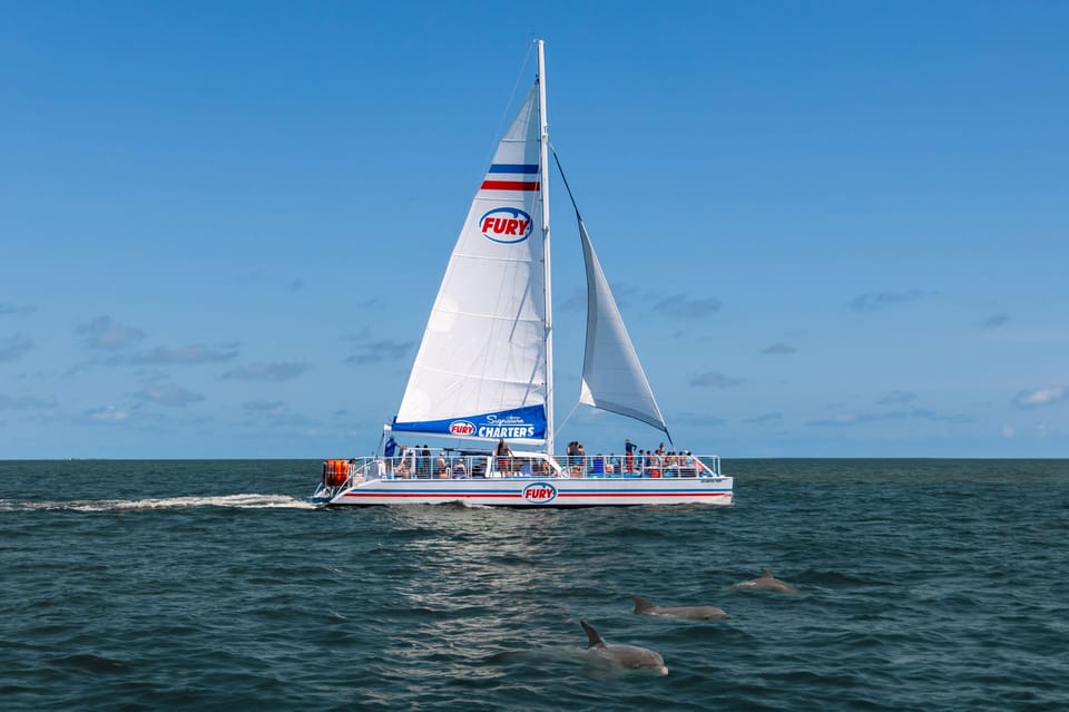 St. Augustine: Dolphin Watching Harbor Tour with Drinks - Authentic Insights & Review Highlights
