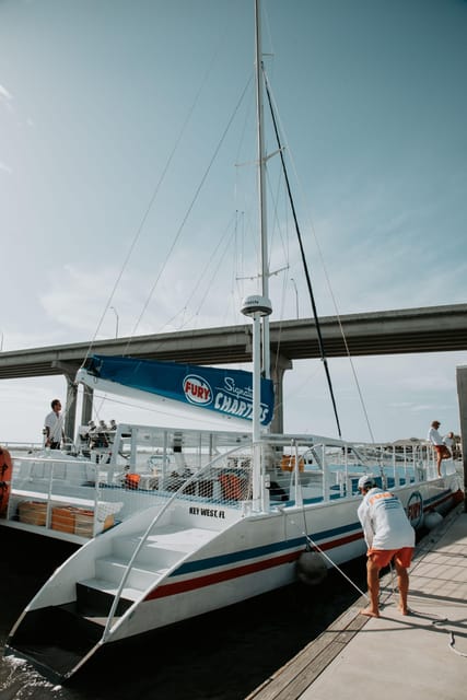 St. Augustine: Dolphin Watching Harbor Tour with Drinks - The Sum Up