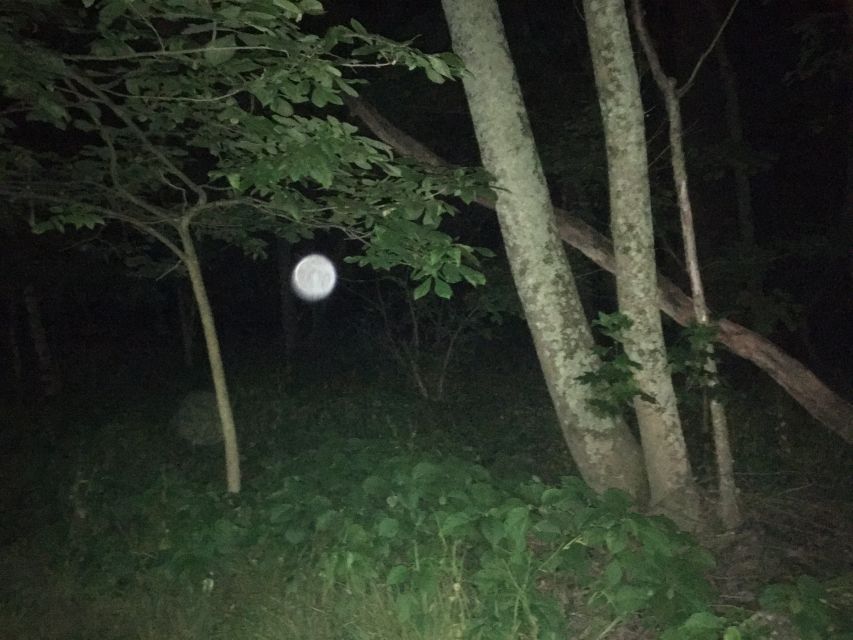 St. Augustine: Evening Paranormal Investigation Tour - The Details: What You Can Expect from the Tour