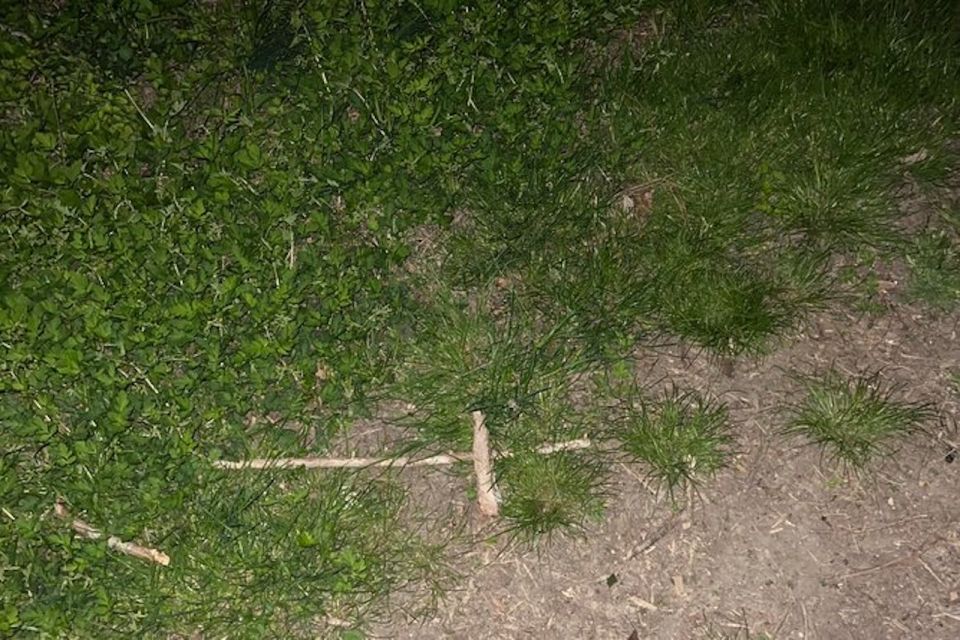 St. Augustine: Evening Paranormal Investigation Tour - The Sum Up