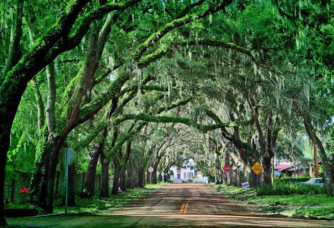 St. Augustine Four Seater Slingshot Adventure Rental - Key Points