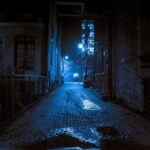 St. Augustine: Haunted Pub Crawl Walking Tour with a Guide - Practical Tips for Participants