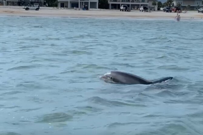 St. Augustine Private Day or Sunset Boat Tour, 6 passengers max - Final Thoughts: Who Will Love This Experience?