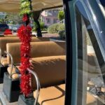 St Augustine Shared Golf Cart Tour - Exploring the St Augustine Shared Golf Cart Tour