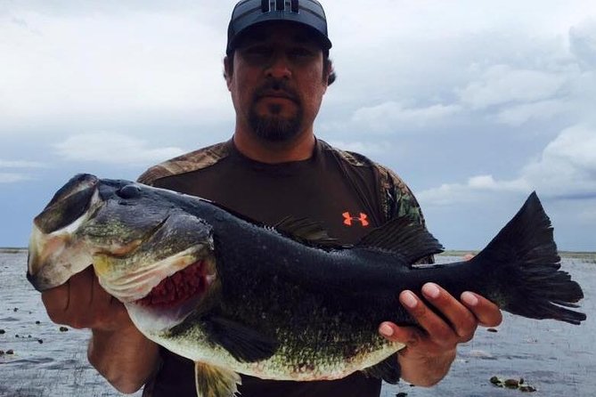 St Johns River Fishing Trip near Daytona - The Experience: What to Expect from the St. Johns River Fishing Trip