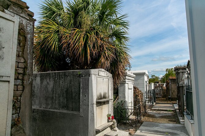 St. Louis Cemetery No. 1 Official Walking Tour - Why This Tour Works