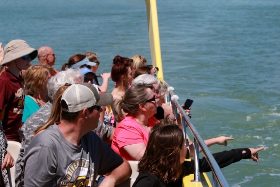 St. Pete Beach: Dolphin Racer Cruise by Speedboat - Final Thoughts: Is It Worth It?